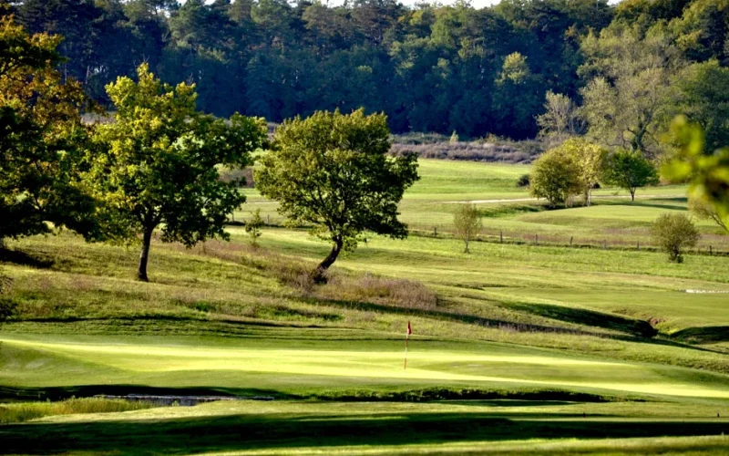 FABRICE TARNAUD ACADEMY Stages de Golf
